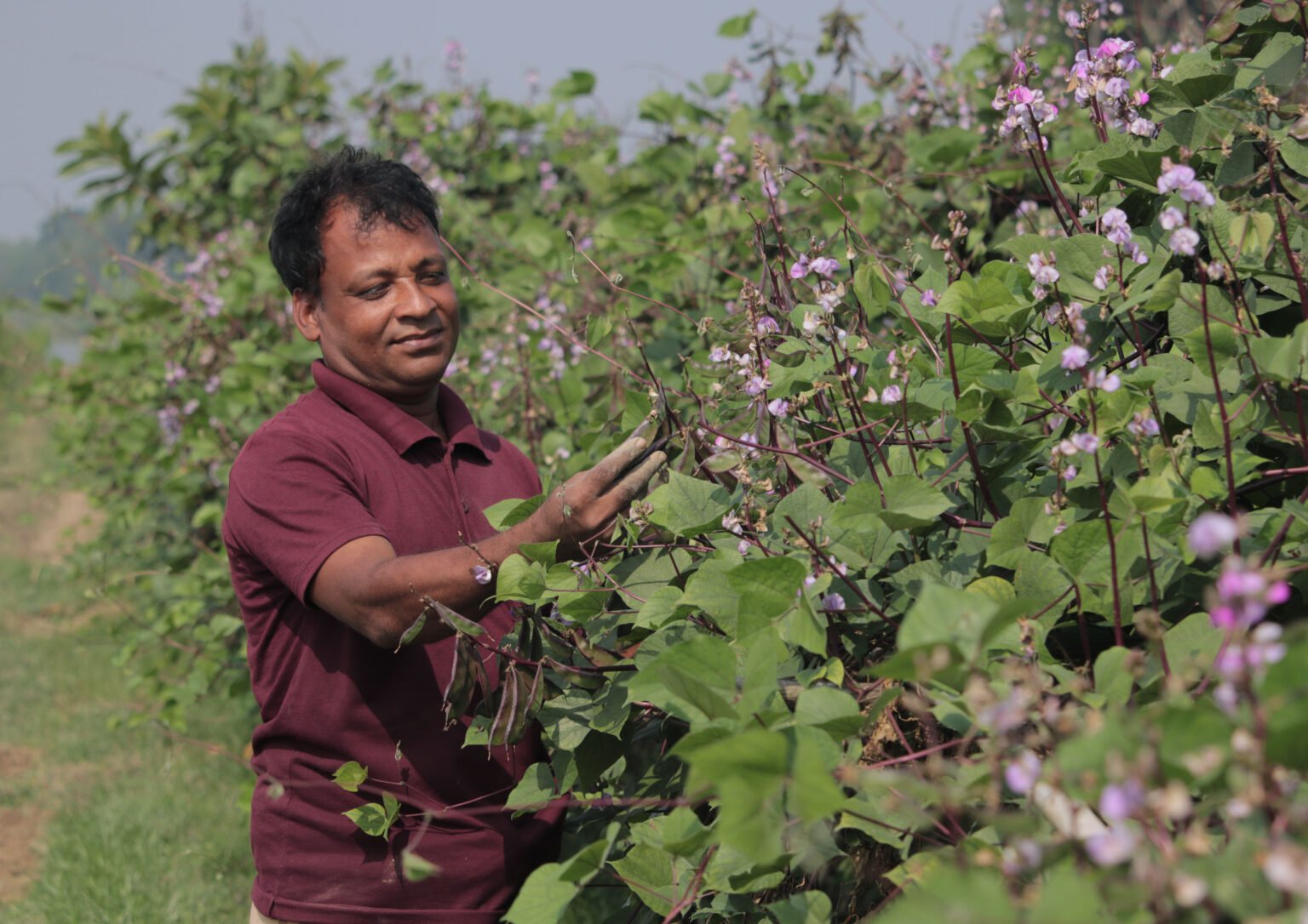 Agriculture - Integrated Development Foundation (IDF)